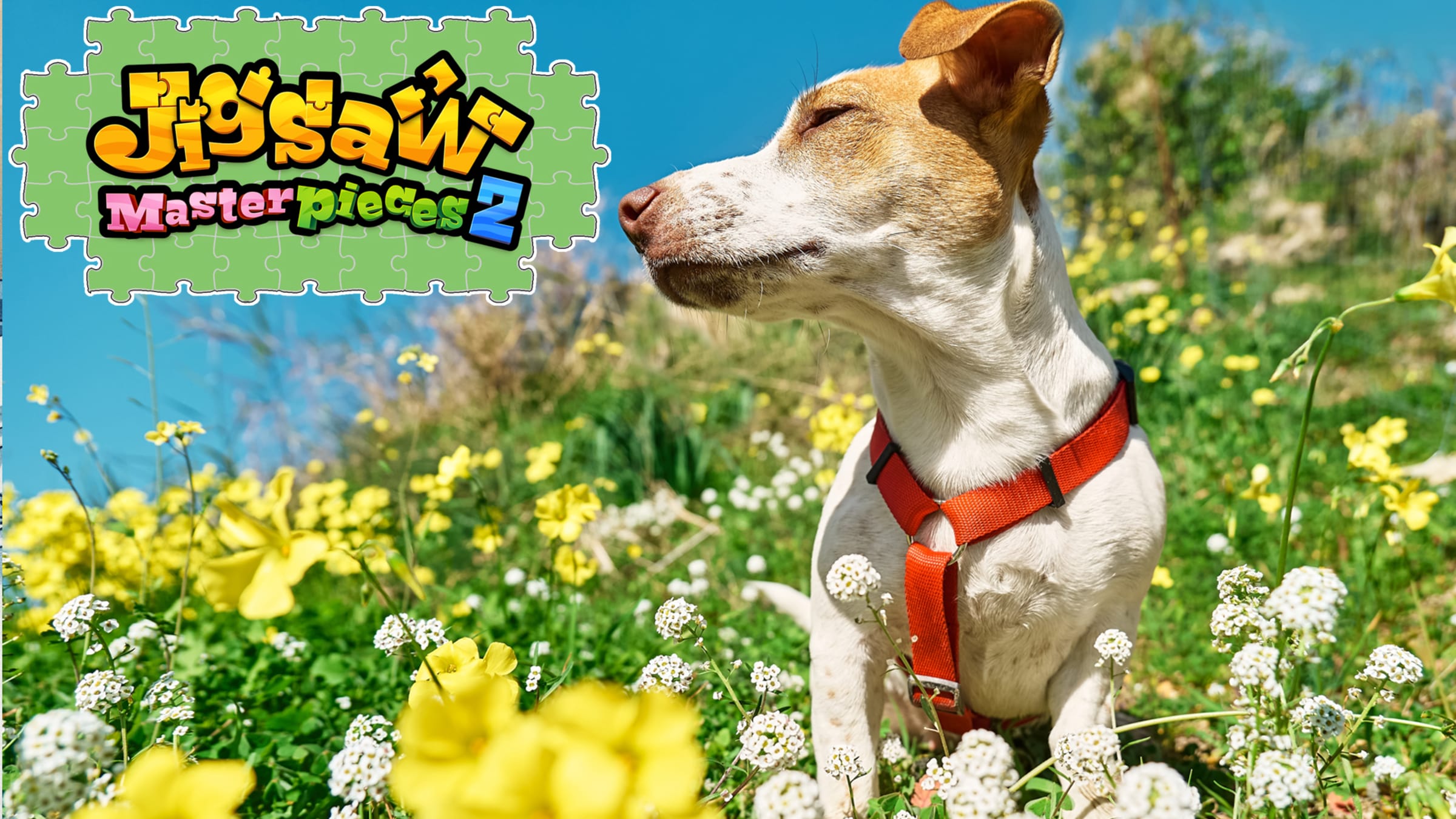 Animals with Flowers for Nintendo Switch - Nintendo Official Site