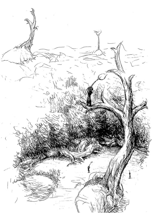 Nintendo desvela los orígenes de Pikmin: empezaron en Nintendo 64 ...