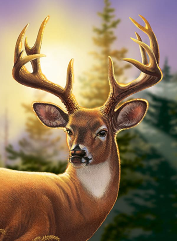 Nintendo switch buck hunter store