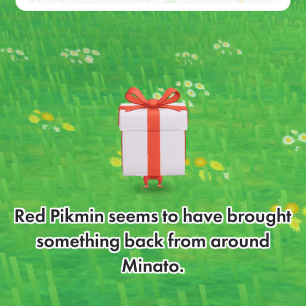 supermarket rare decor pikmin