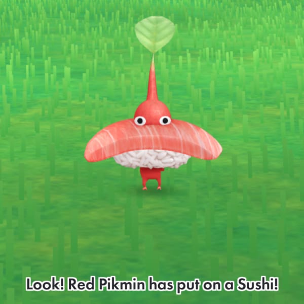 supermarket rare decor pikmin