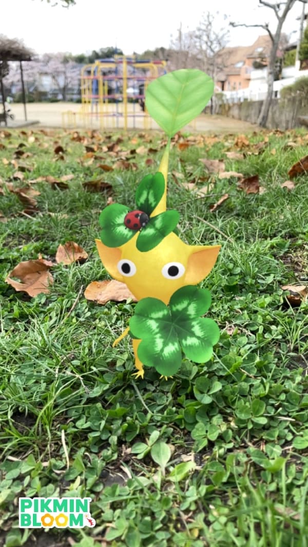 supermarket rare decor pikmin