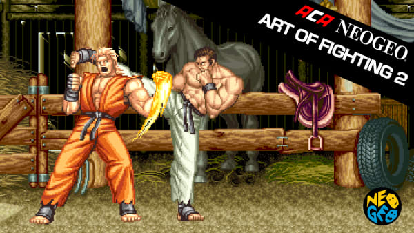 Art of fighting 2 store