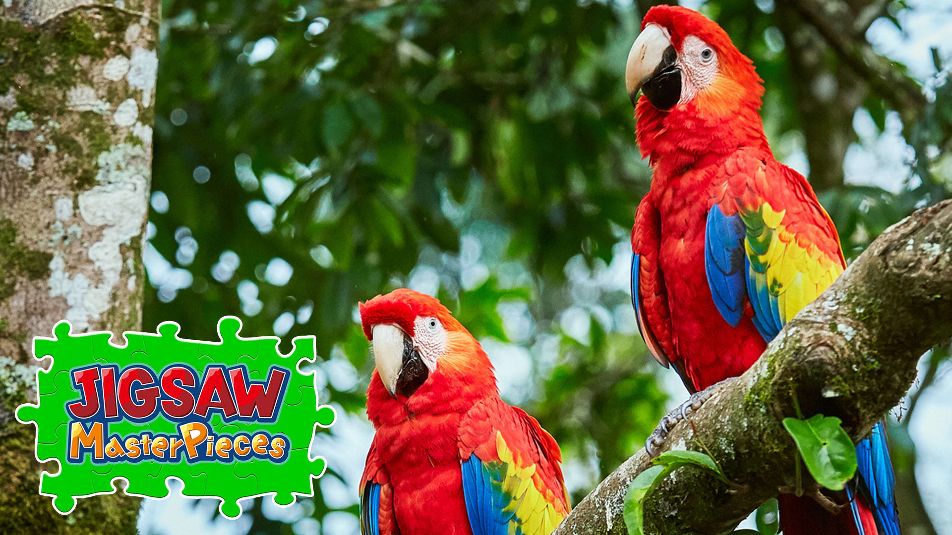 Colorful Birds for Nintendo Switch - Nintendo Official Site for Canada