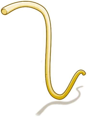 Freddy Spaghetti for Nintendo Switch - Nintendo Official Site for Canada