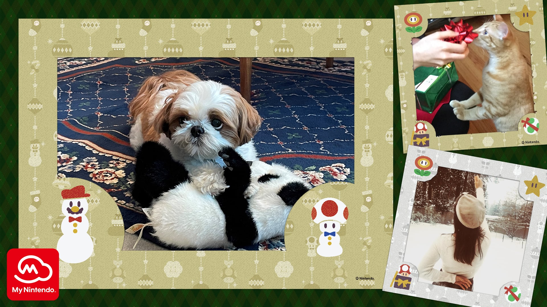 My Nintendo December Wrap-Up - News - Nintendo Official Site