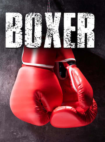 Boxer for Nintendo Switch - Nintendo Official Site
