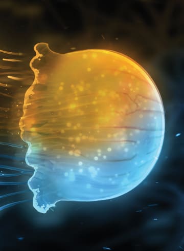 Semispheres para Nintendo Switch - Sitio Oficial de Nintendo para Mexico