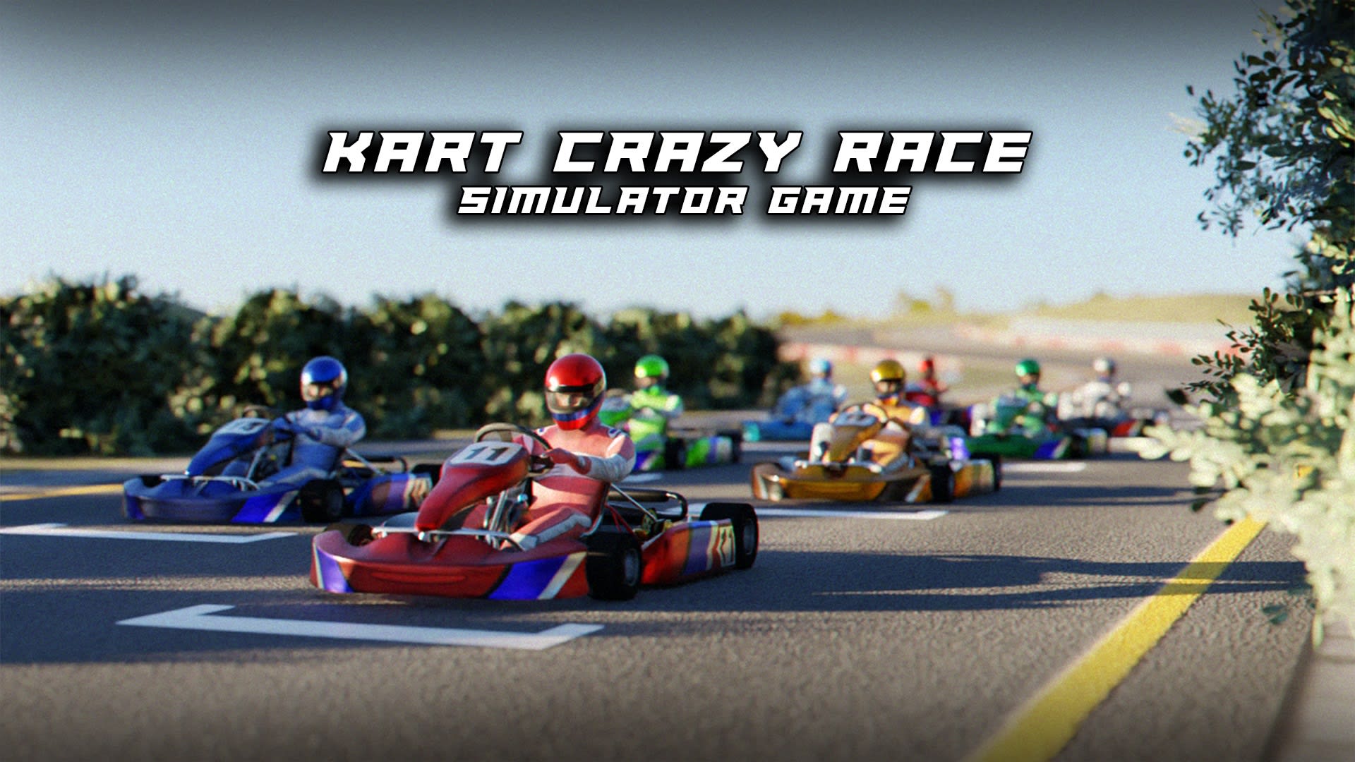 Kart Crazy Race Simulator Game for Nintendo Switch - Nintendo Official Site for Canada