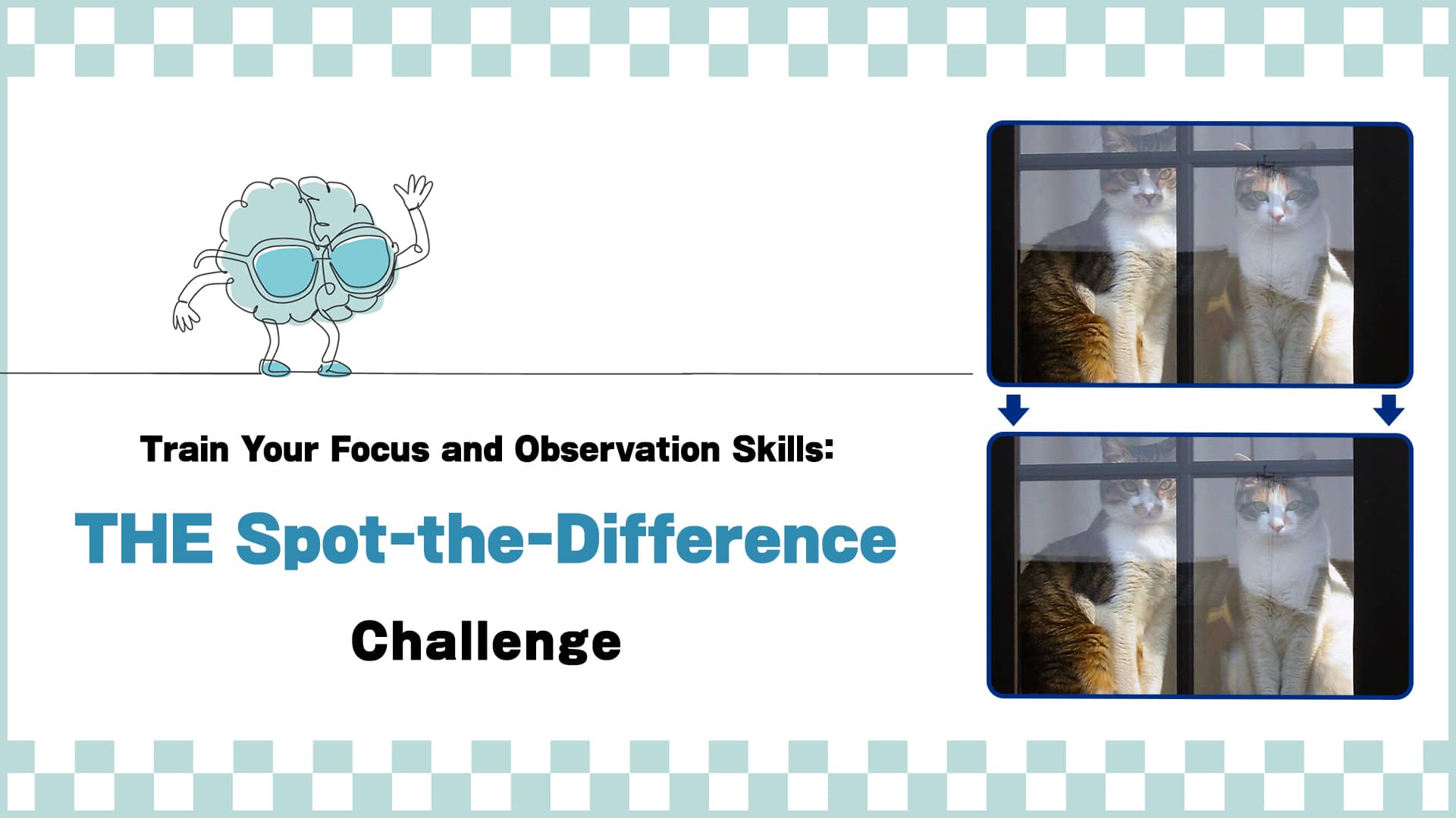 Train Your Focus and Observation Skills: THE Spot-the-Difference ...