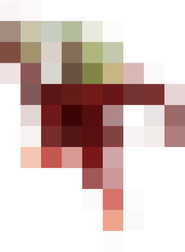 Duck Game for Nintendo Switch - Nintendo Official Site