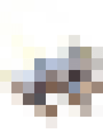 Stellar Interface para Nintendo Switch - Sitio oficial de Nintendo